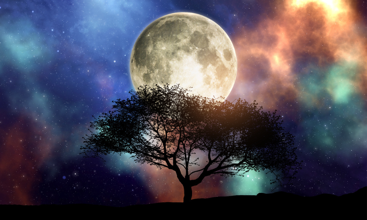 Moon Caption Ideas: 250+ Ideas to Light Up Your Posts - Foto Flock