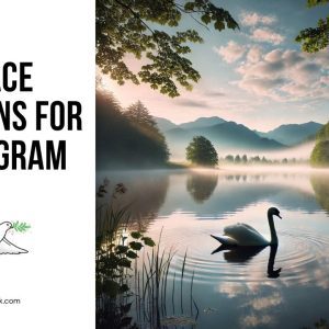 300+ Relax Captions for Instagram: Chill Vibes for Your Feed - Foto Flock