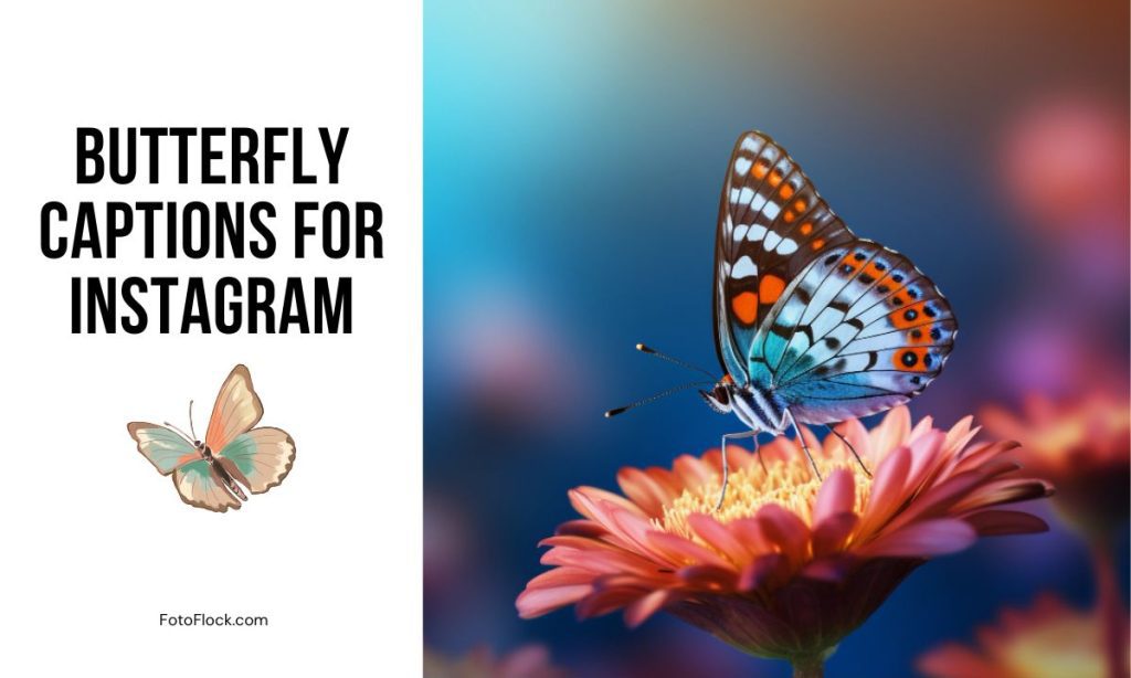 501+ Butterfly Captions for Instagram to Spread Your Wings - Foto Flock