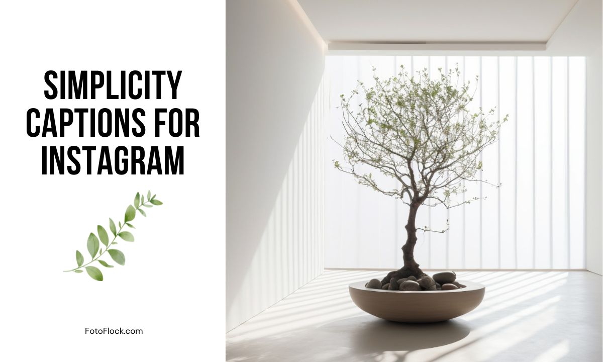 500+ Simplicity Captions for Instagram: Short, Chic & Impactful – Foto ...