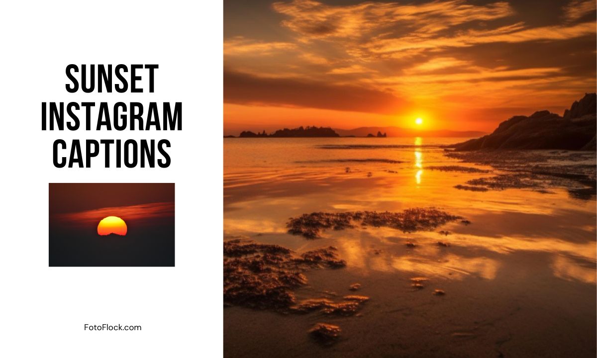 500+ Sunset Instagram Captions That Will Light Up Your Feed – Foto Flock